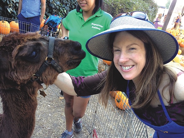 Wilshire Rotary opens pumpkin patch on Larchmont Blvd. : Larchmont ...