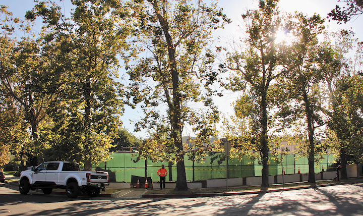 Citrus Square: paradise planned next to Hancock Park : Larchmont Chronicle